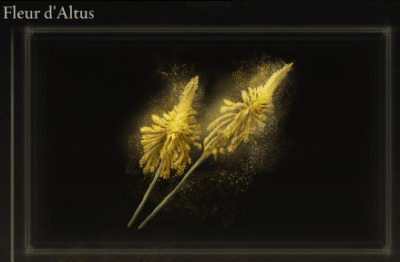 Why is the key called Alt Gr? - Alucare