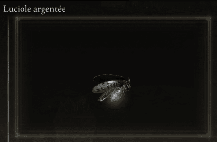 Silver firefly - Alucare