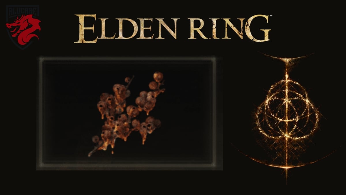 Amber Eyes in Elden Ring: locations and informations - Alucare