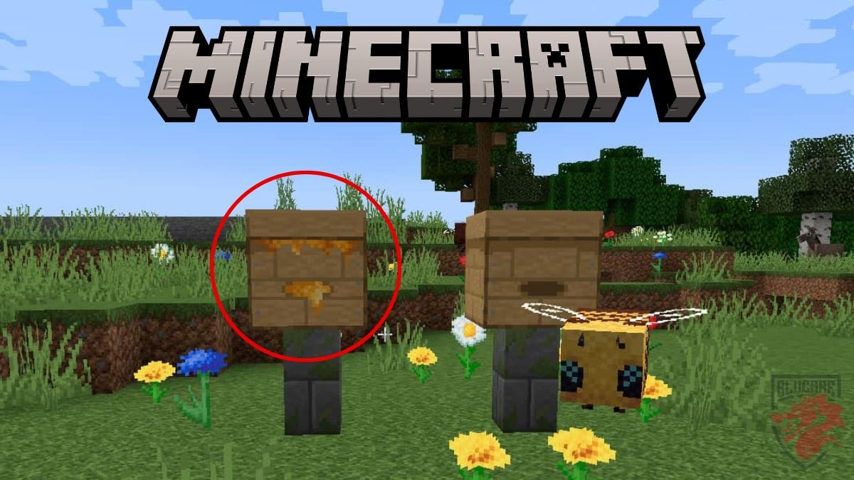 Comment avoir du miel Palworld ? [Tutoriel]