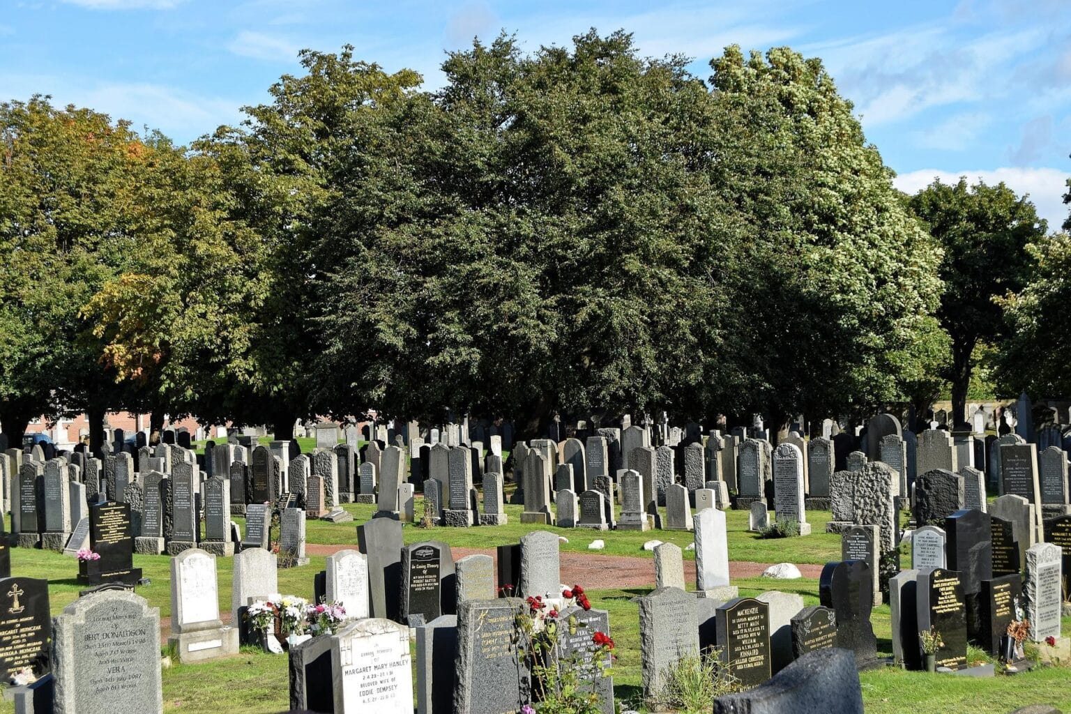 How Much Does A Funeral Cost Alucare How Much Does A Funeral Cost Alucare