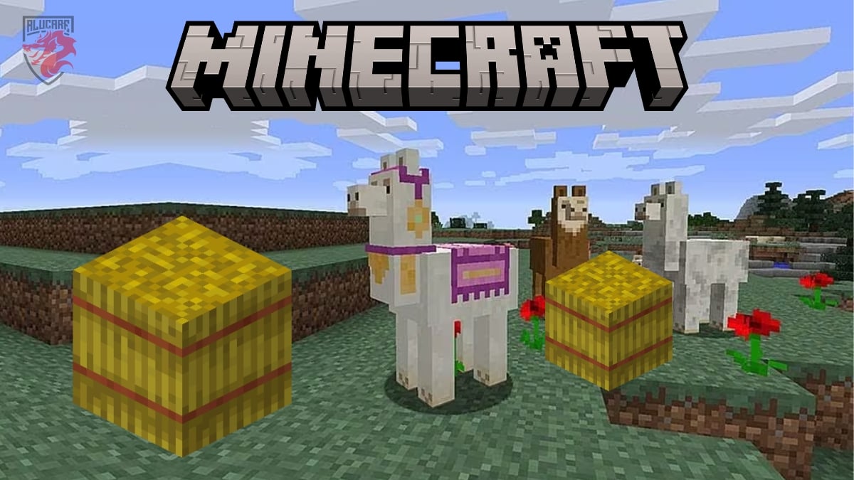 Comment apprivoiser un loup Minecraft ? [Guide Complet] - 👇Alucare
