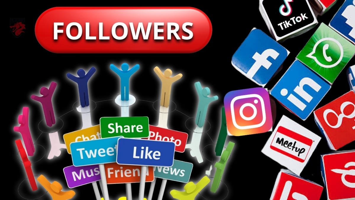 Que veut dire followers ? [Définition] - 👇Alucare