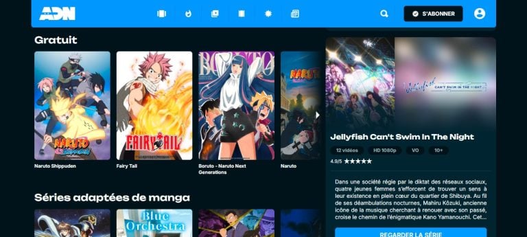 ADN ou Crunchyroll : quelle plateforme d’animes choisir en 2025?