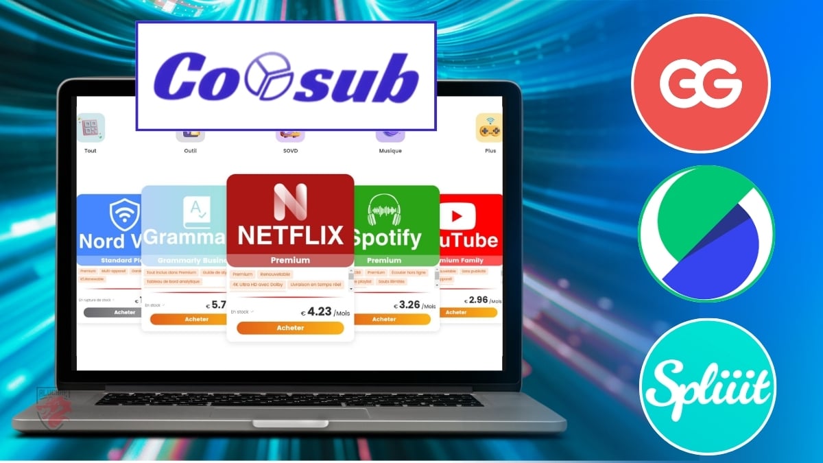 Sharesub vs Spliiit : Quel est le meilleur service de partage d’abonnement