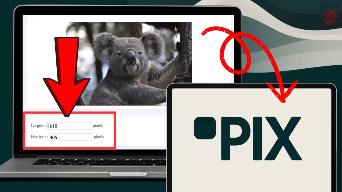 Roger wants to save his personal files online [Pix Certification] - 👇Alucare